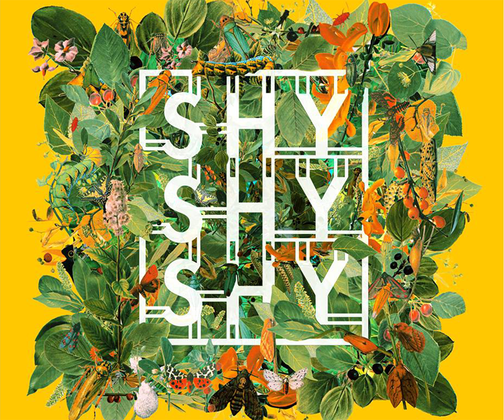 MS Dockville 2016: Shy Shy Shy